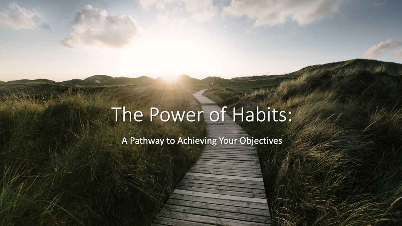 The Role of Habits in Achieving Personal and Professional Success - GrowCFO