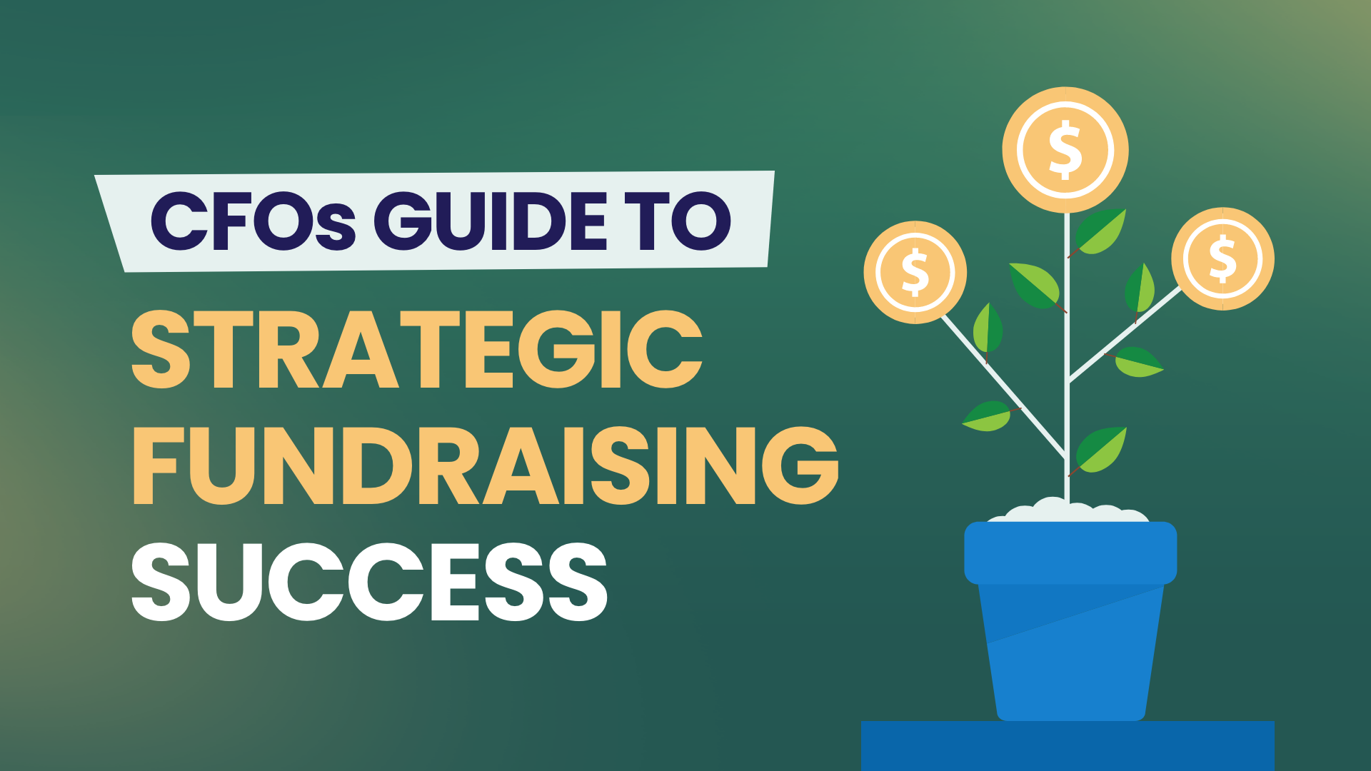 CFOs Guide to Strategic Fundraising Success - GrowCFO