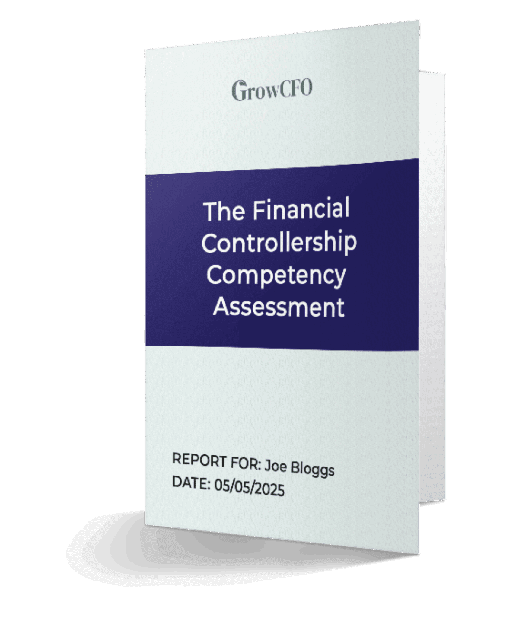 The Financial Controllership Competency Framework - GrowCFO